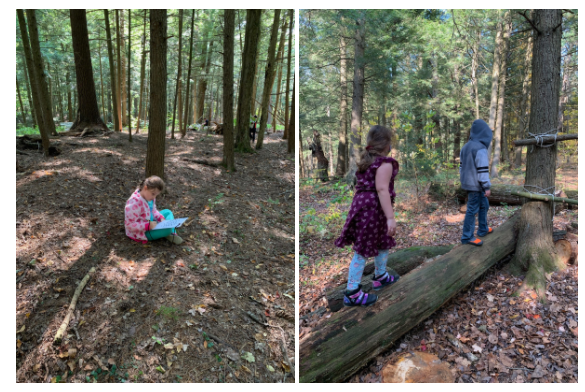 Engagement and Learning In An Outdoor Classroom – The FWSU Story